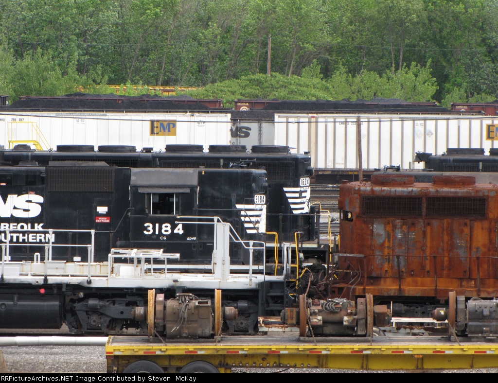 NS 3184